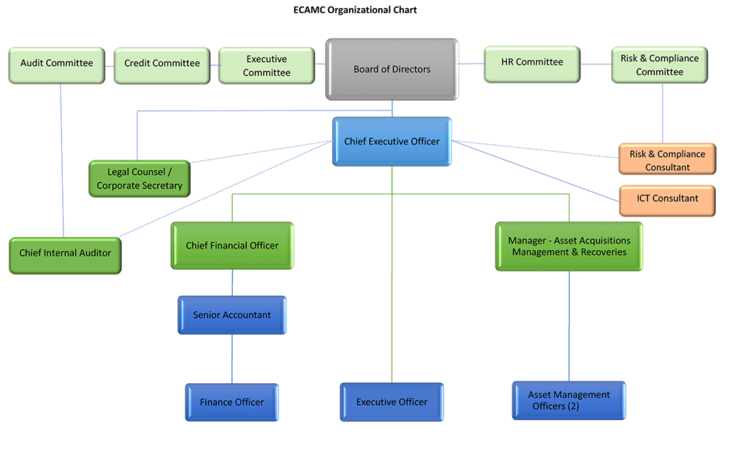 ECAMC » corporate organogram
